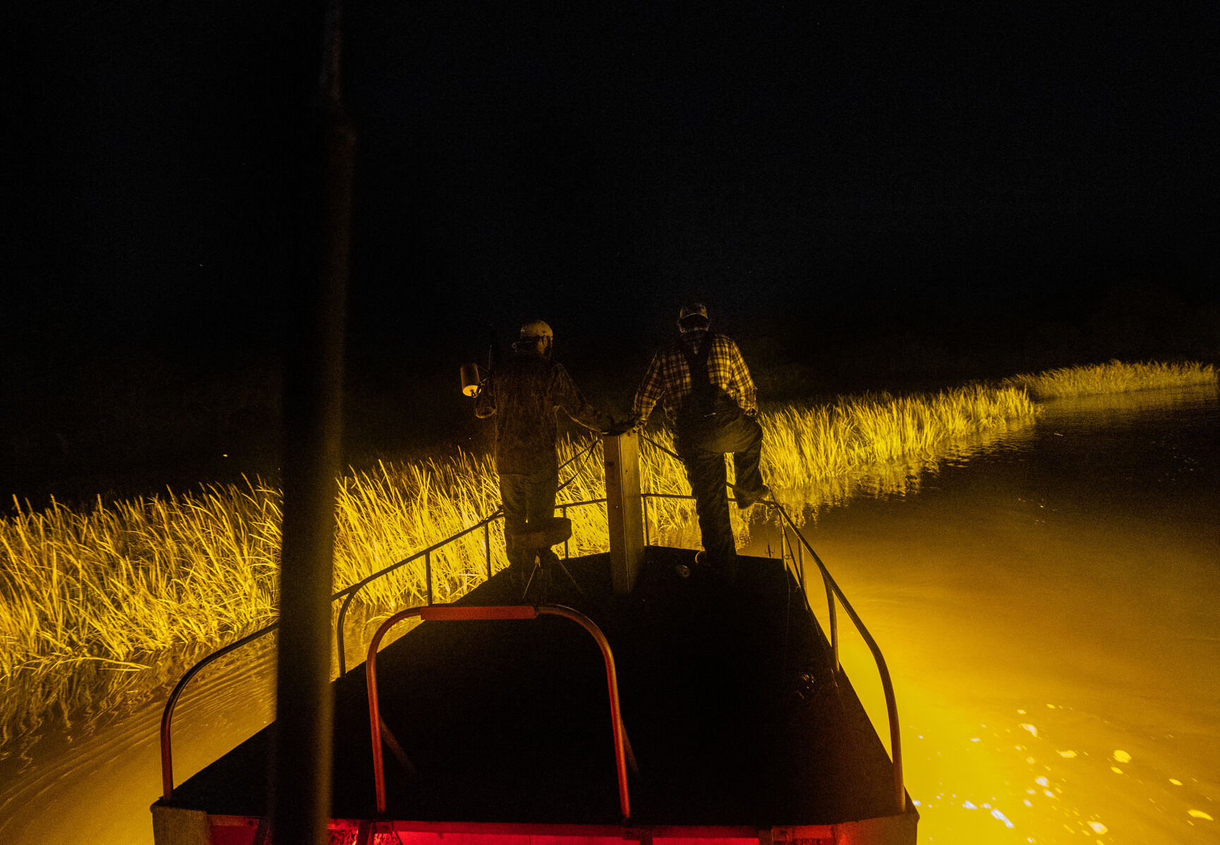 SC alligator hunters patrol waters for the elusive reptile