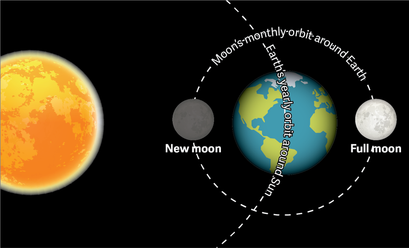 King tides to coincide with solar eclipse in Charleston