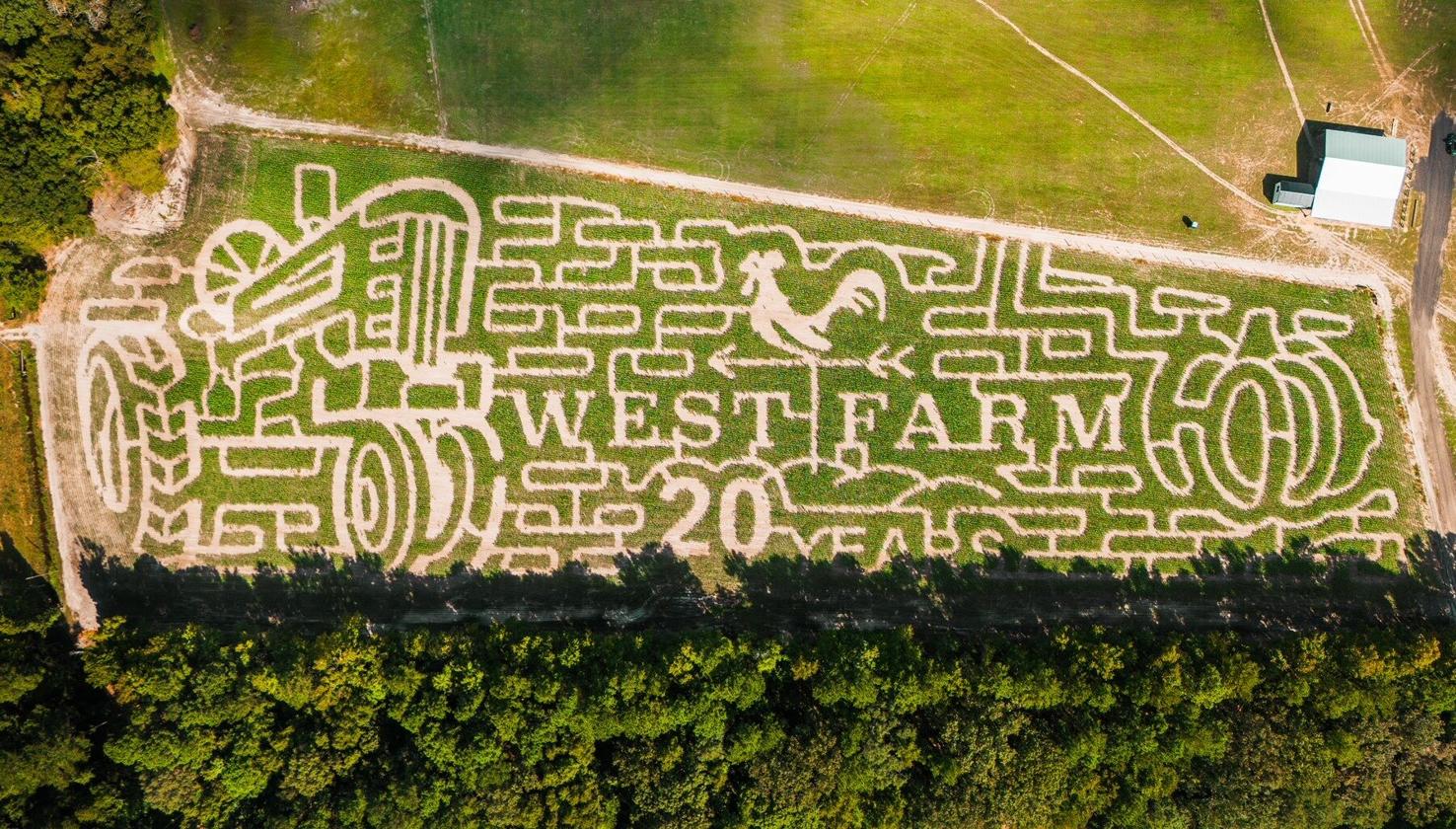West Farm Corn Maze brings the nostalgia of autumn to the Lowcountry ...