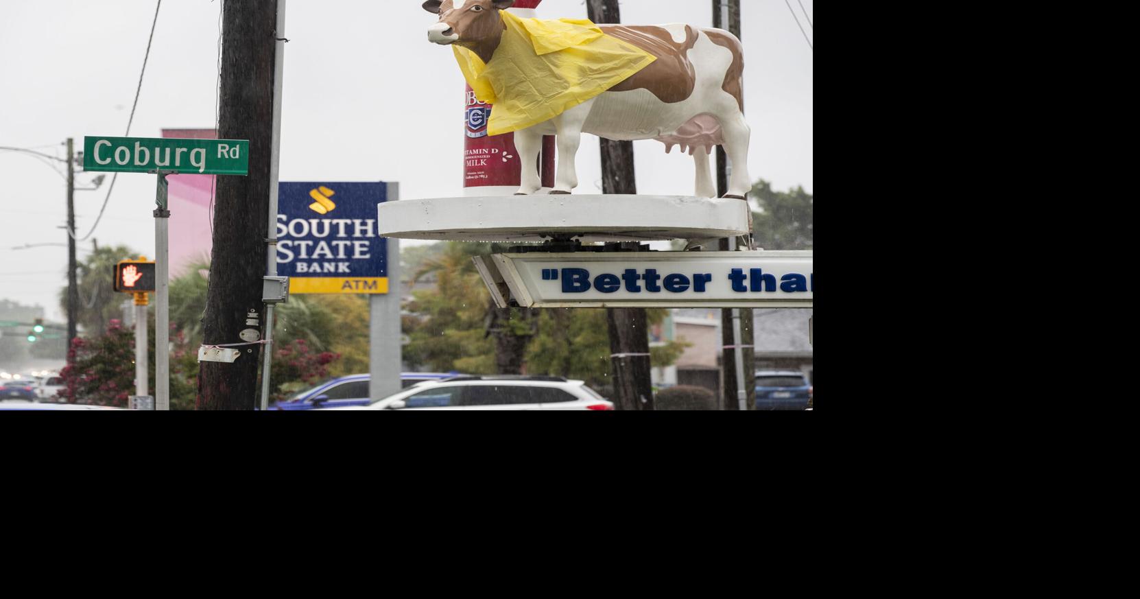 Why is the Coburg Cow Charleston's storm meter?