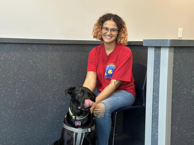 ANIMAL CONNECTION: Aiken's SPCA Veterinary Care Center makes spay and ...