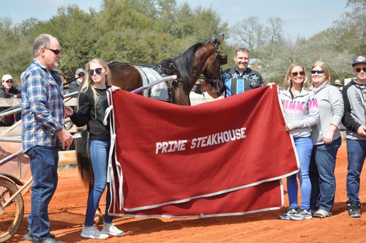 McGhees' Mile Harness Race set to return March 7 in Aiken