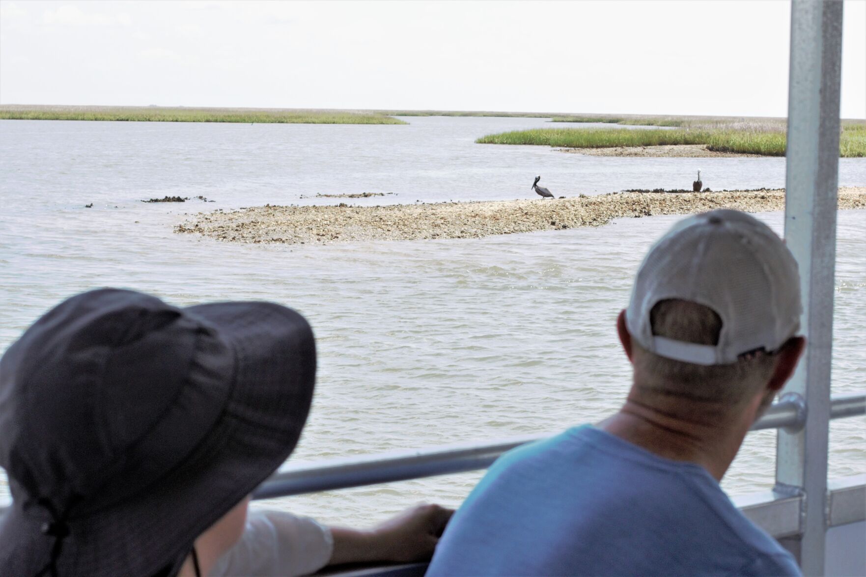 Charleston's ferries to enjoy this summer