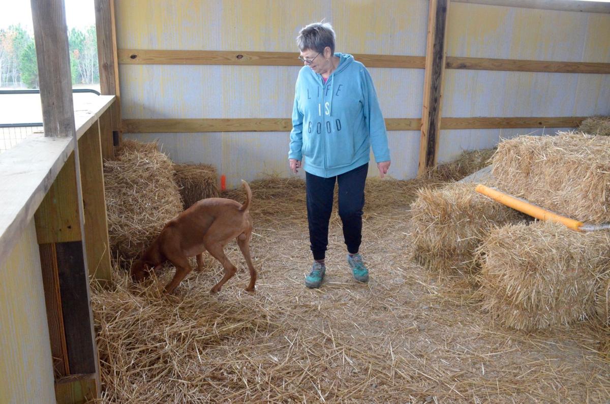 Aiken Barn Hunt club the first in South Carolina | News ...
