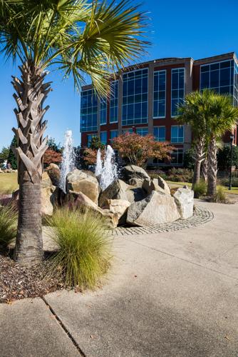 Outdoors and Recreation: Lexington County SC 2020 | Free Times ...