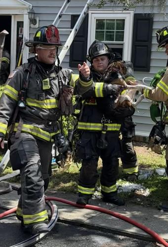 Four dogs rescued from Mount Pleasant townhouse fire