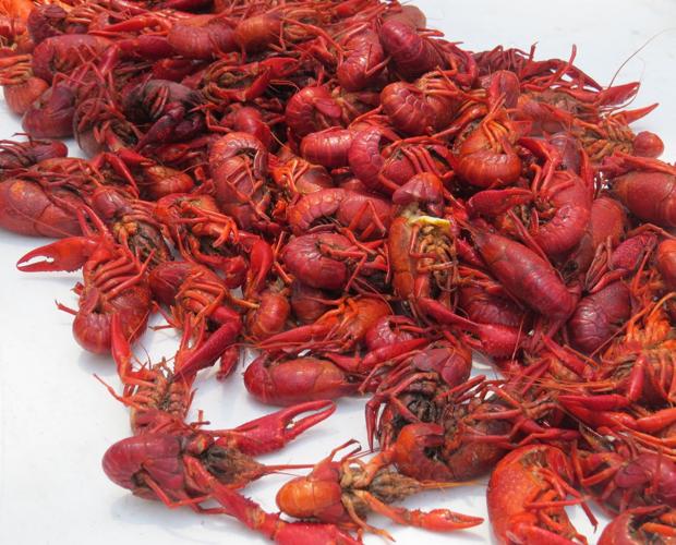 Alligator Jack's Crawfish Festival at Trophy Lakes on John's Island