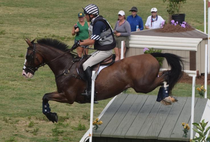 Eventing horse with Aiken ties in Summer Olympics