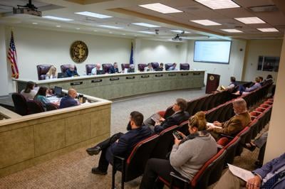 Lexington County Council, District 2 election results