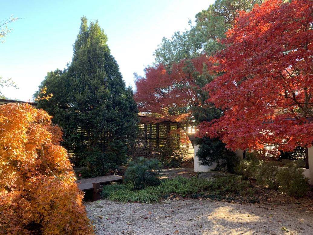 Page C12 | E‑Paper – The Post and Courier | Full Digital SC’s Top Newspaper