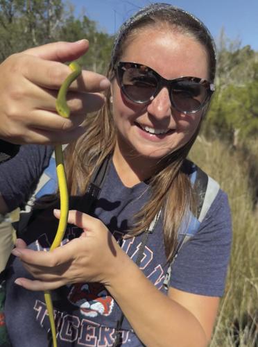Camp Sewee, a longtime Lowcountry summer camp, returns reimagined