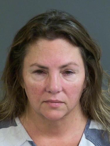 Woman accused of unlawfully carrying a gun at SC Aquarium faces 3 ...