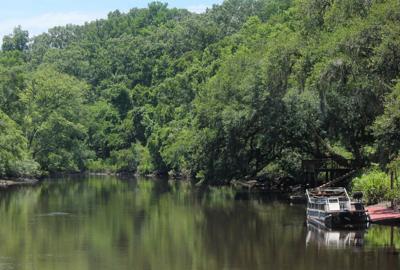 Preservation organization names Ashley River Historic District a ...