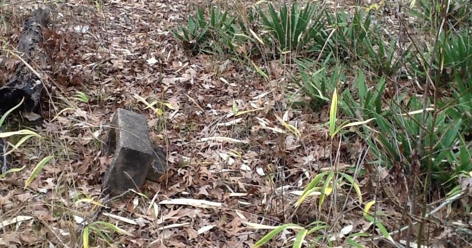 The tragic fate of Chicora and its cemeteries