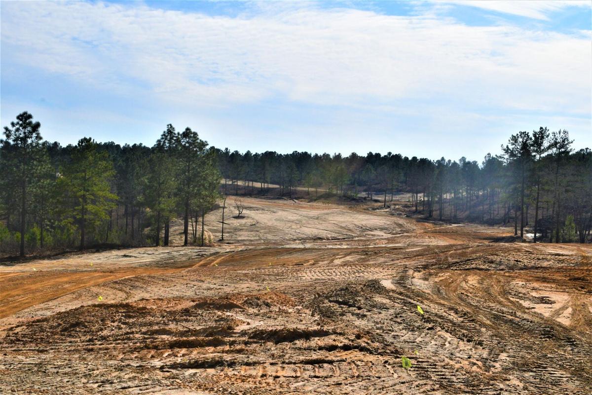 'A cool opportunity': The Tree Farm comes to life thanks to pro golfer ...