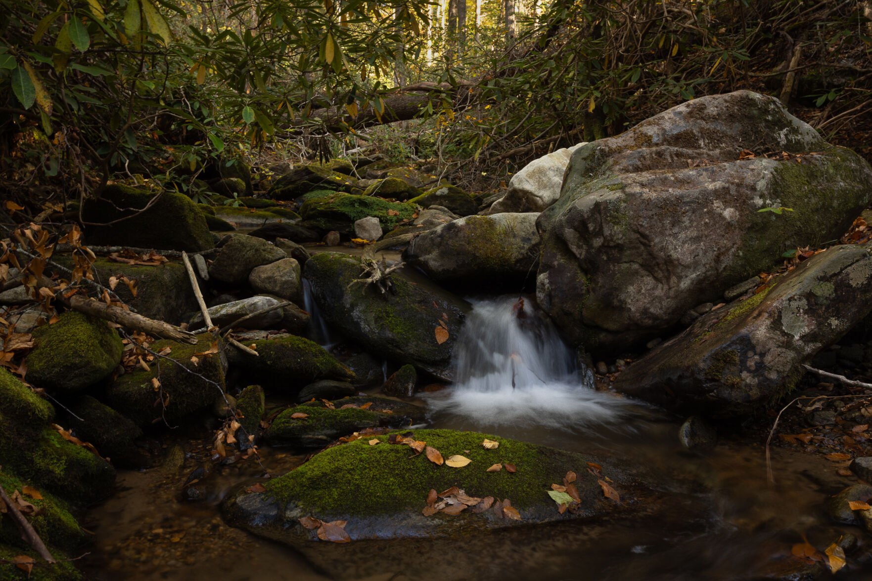 Greenville SC groups preserve land with Table Rock views