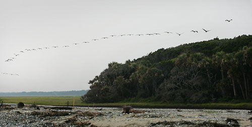 Botany Bay Plantation