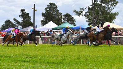 Aiken Triple Crown: Trio of equine events still going strong | News ...