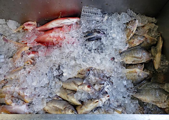 Charlie's Fish Market is an eatery with a unique personality