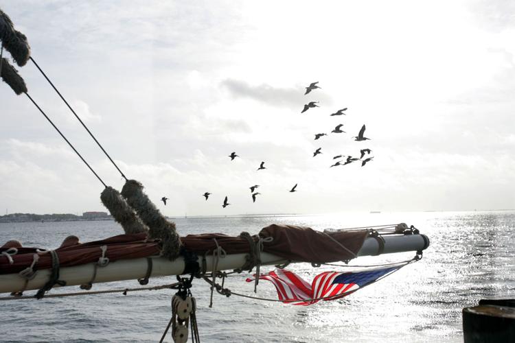 The tall ship Roseway | News | postandcourier.com