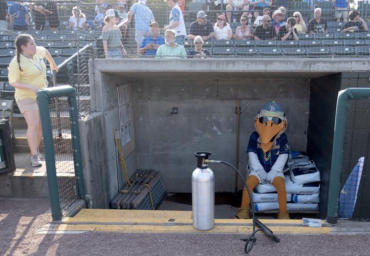 Myrtle Beach Pelicans stadium will cost millions to upgrade