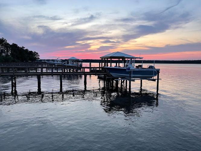Lowcountry Landscapes Photos of the Week