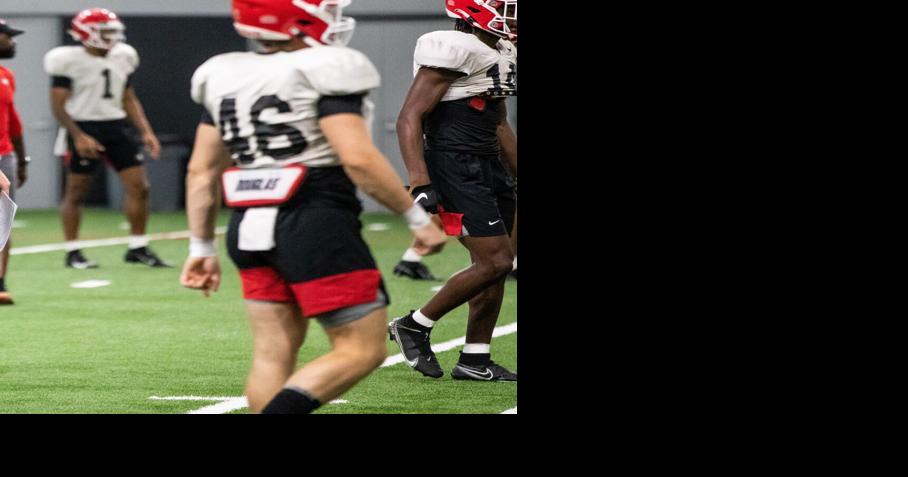 Sapakoff: Will Muschamp, from Gamecocks to a ‘jolt of energy' for UGA ...