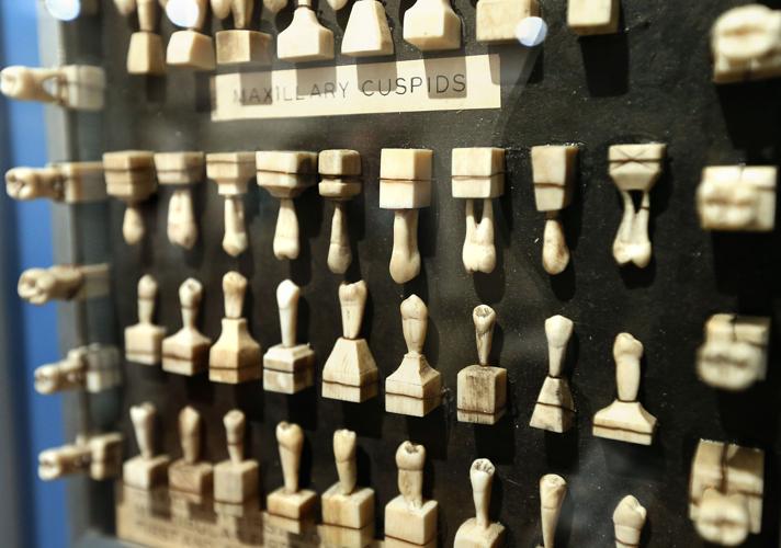 Newly re-opened dentistry museum on MUSC's campus celebrates life of Dr ...