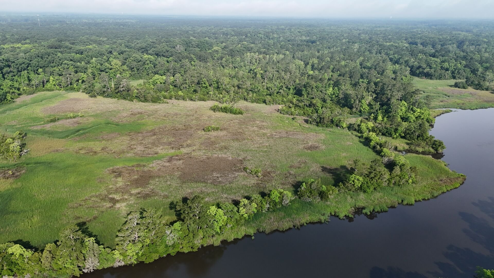 Page A1 | E‑Paper – The Post and Courier | Full Digital SC’s Top Newspaper