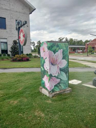 Interview with artist Belle Anderson | Community News | postandcourier.com