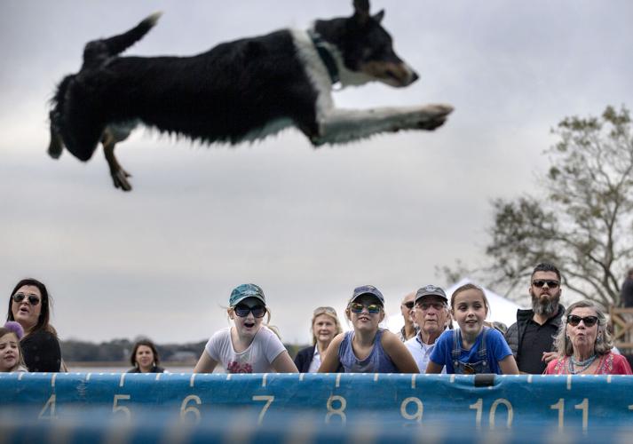 SEWE's DockDogs still a highlight for many attendees of the annual ...