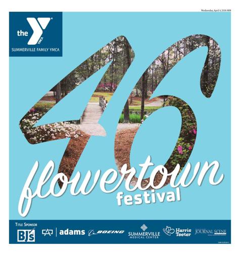 Parking guide for festival