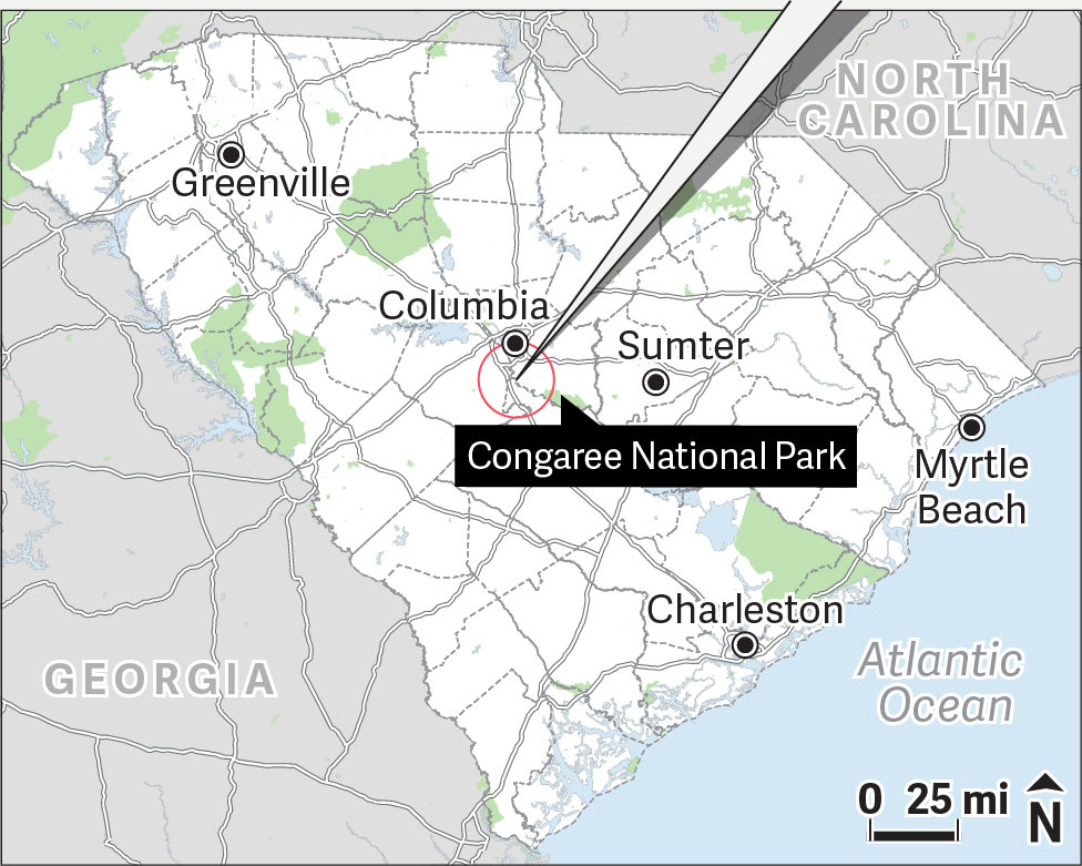 Page A8 | E‑Paper – The Post and Courier | Full Digital SC’s Top Newspaper