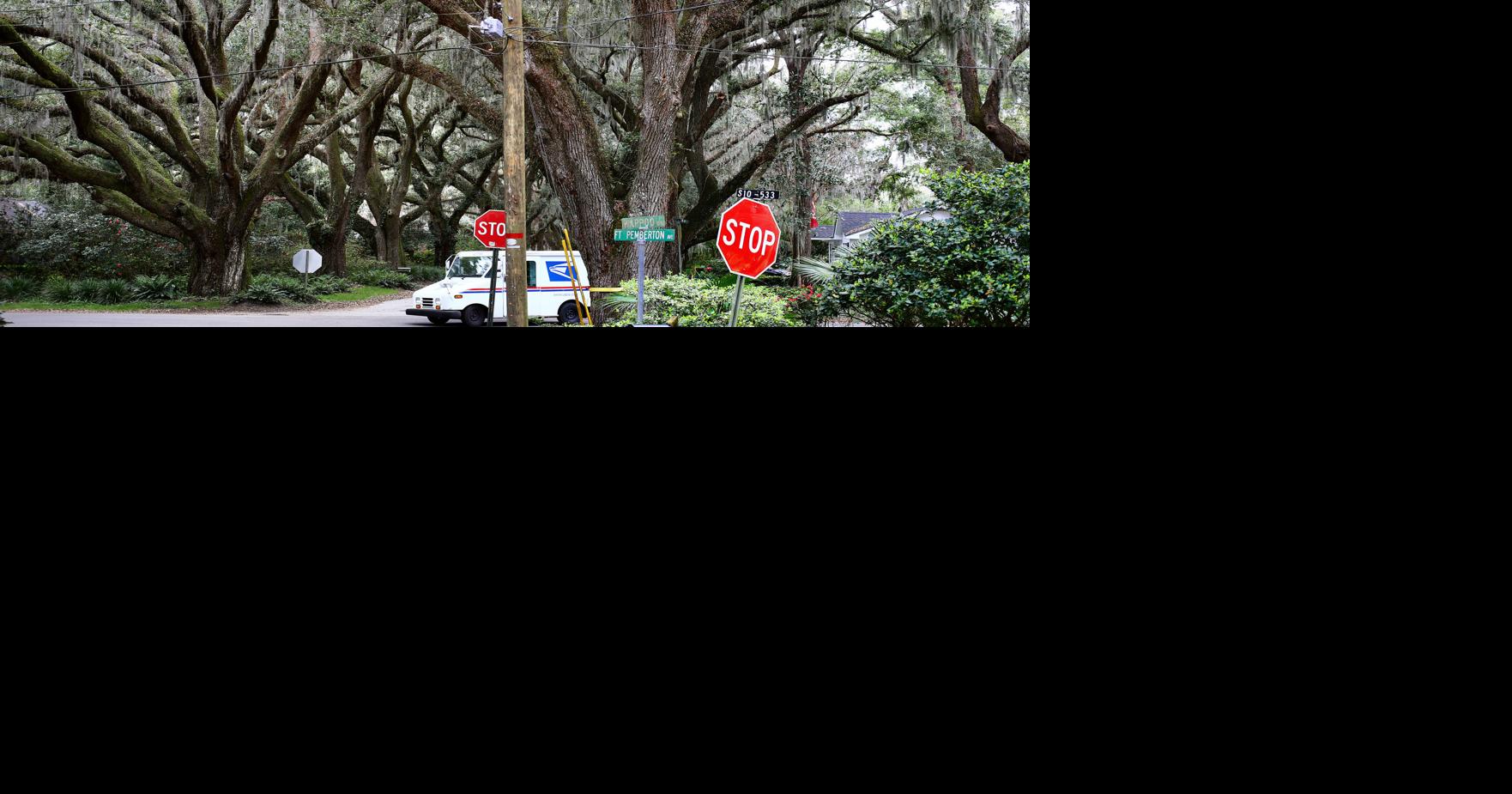 Tree preservation letter wins December Golden Pen award