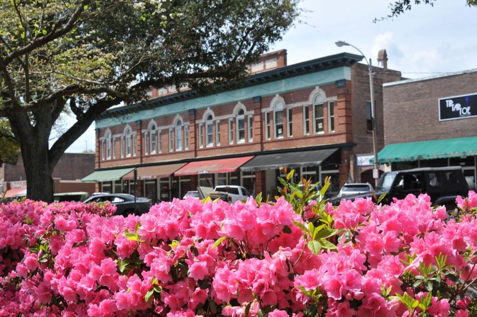 Neighborhood guide: What to do in historic downtown Summerville ...