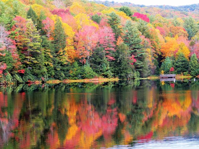 Reader photos: Fall colors | Your Photos | postandcourier.com