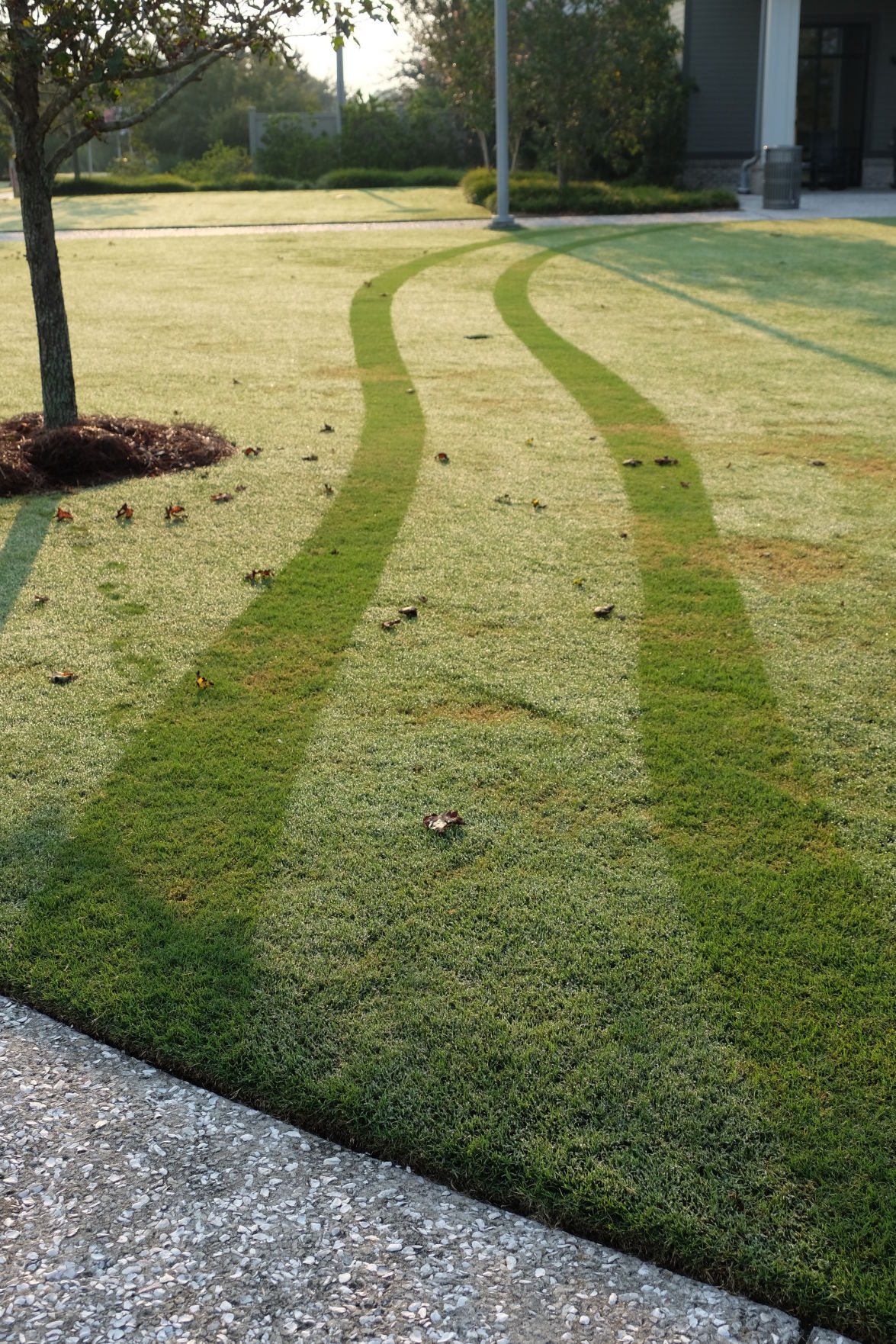 Reader photos: Earth tones | Photo Galleries | postandcourier.com