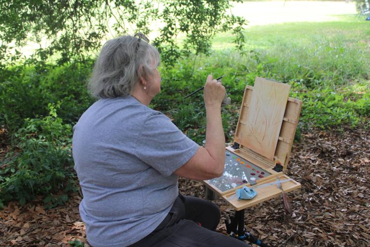 Aiken Land Conservancy holds open-air event for artists