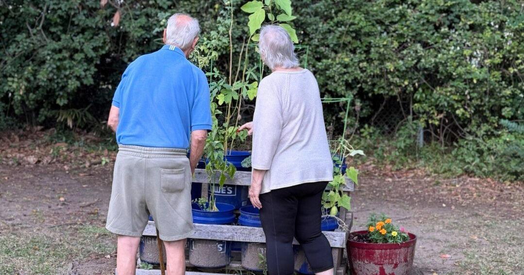 Respite ctr. launches brain health program
