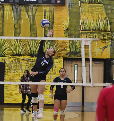 Cobras edge Gators in volleyball