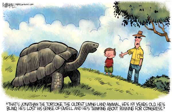 Term limits needed now more than ever