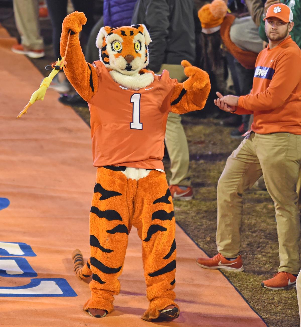 Photos: Clemson Tigers beat South Carolina Gamecocks | Photo Galleries ...