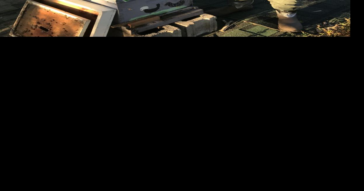 James Island teen wins national beekeeping award