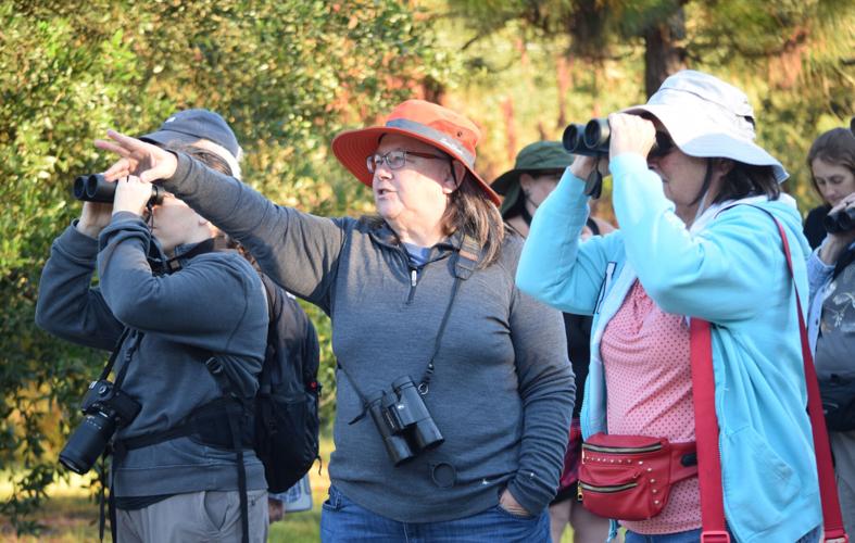Augusta-Aiken Audubon Society offers adventures in birding and nature