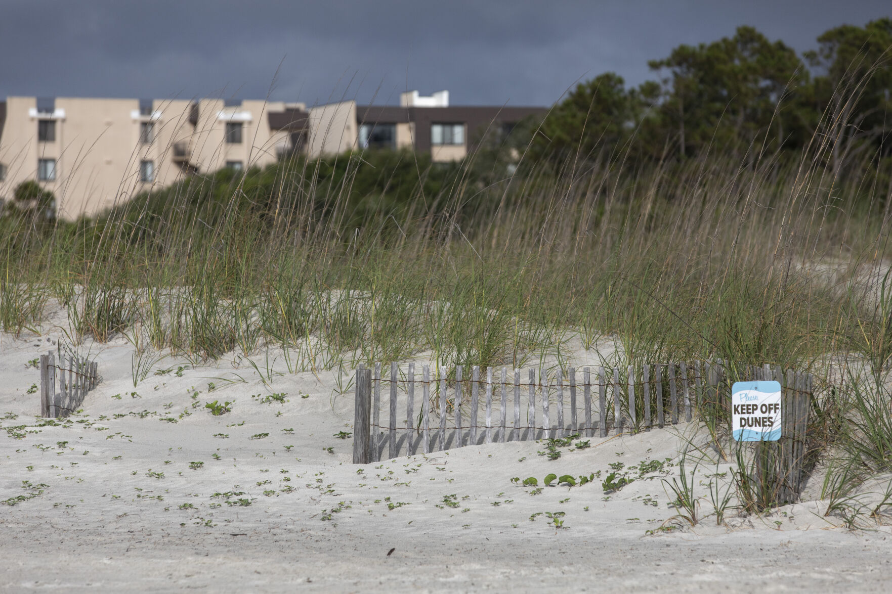 How’s Hilton Head’s $47.5M beach project going so far?