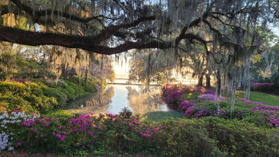 26 things to do in the Lowcountry