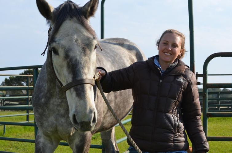 Equine Rescue of Aiken saves horses and gives people a purpose