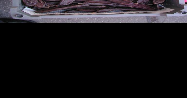 The sweet beans of ancient times | Opinion | postandcourier.com