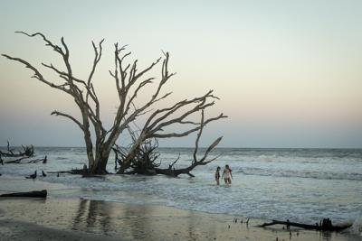 Edisto Beach has 37 public beach access spots to pick from.