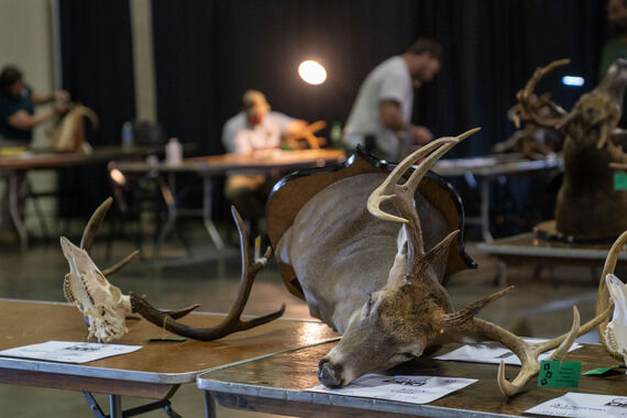 Deer hunters can shoot for record book with scoring sessions